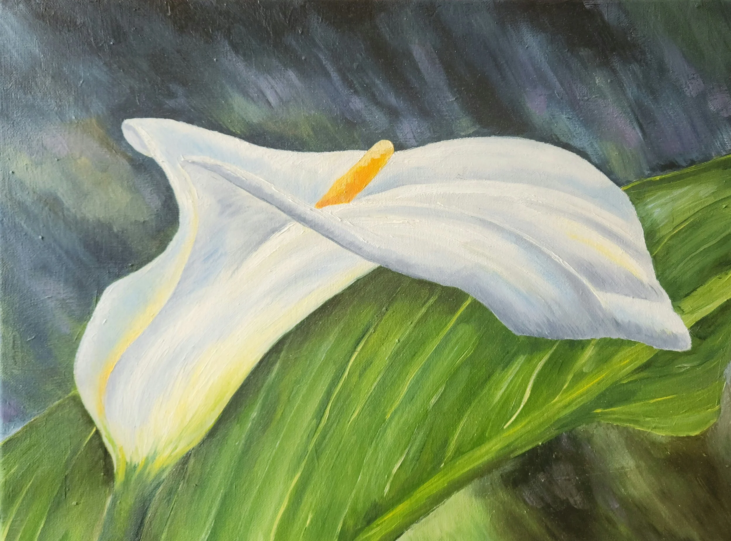 White Calla Lily Flower Painting