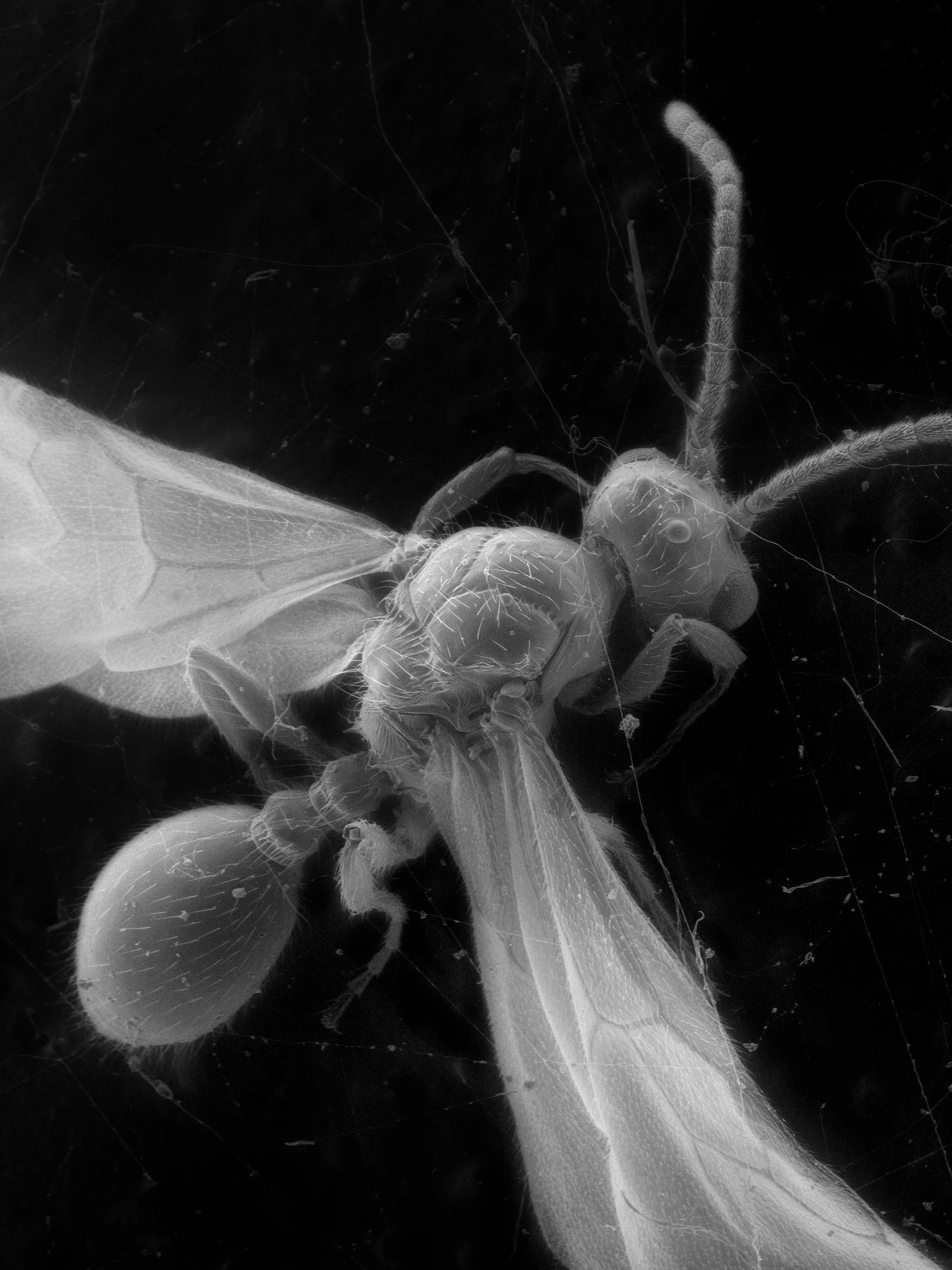 Ground Noise — céline clanet