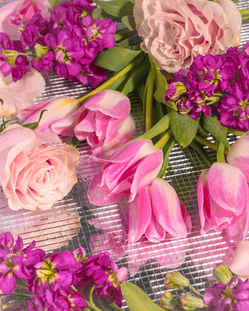 Clare JoAnna Photography