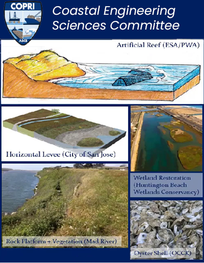 Nature Based Engineering — Conserve Nassau