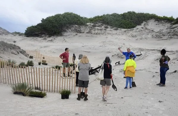 Conservation of Coastal Dunes on Amelia Island — Conserve Nassau