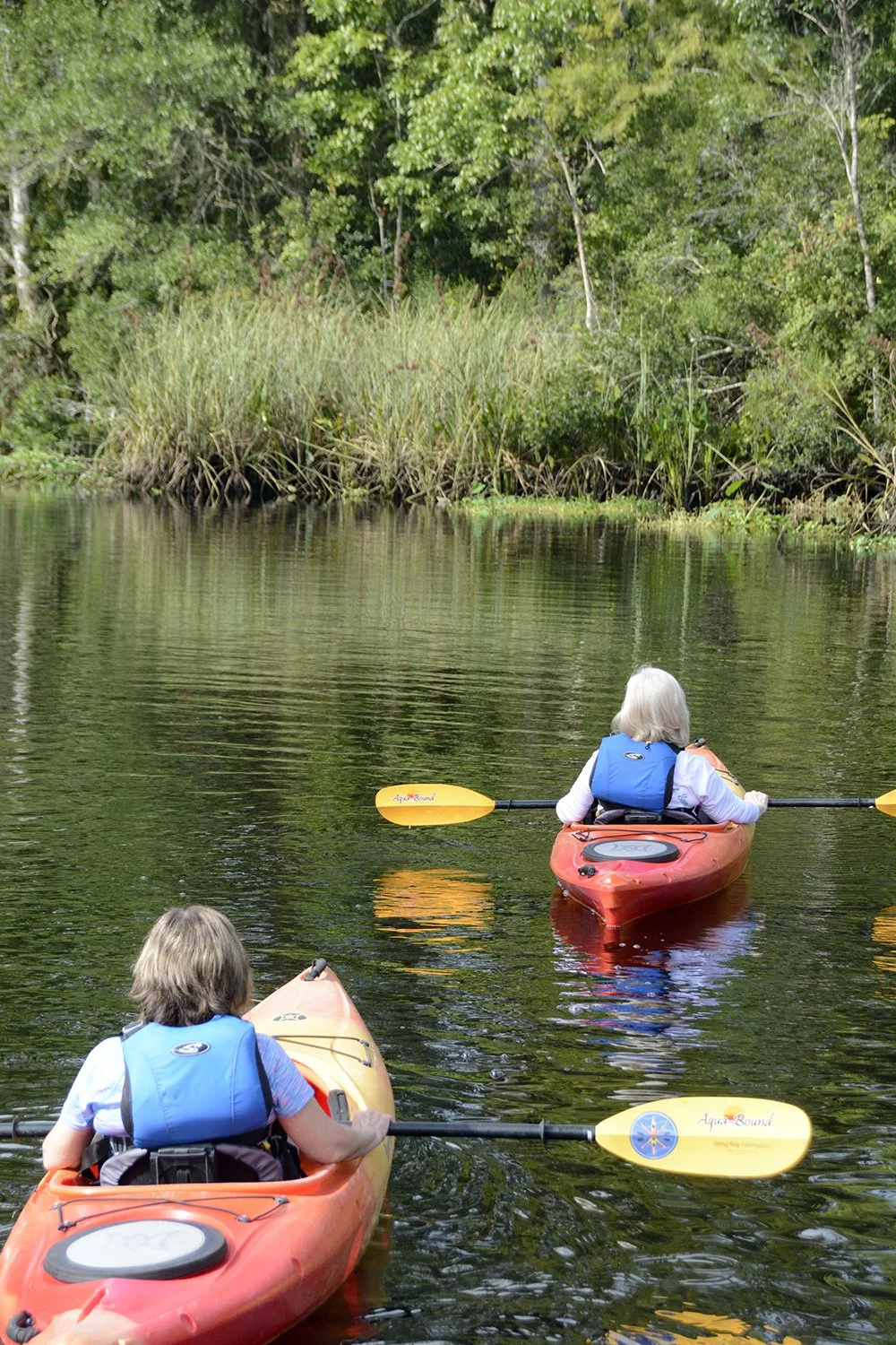Wetlands Importance — Conserve Nassau
