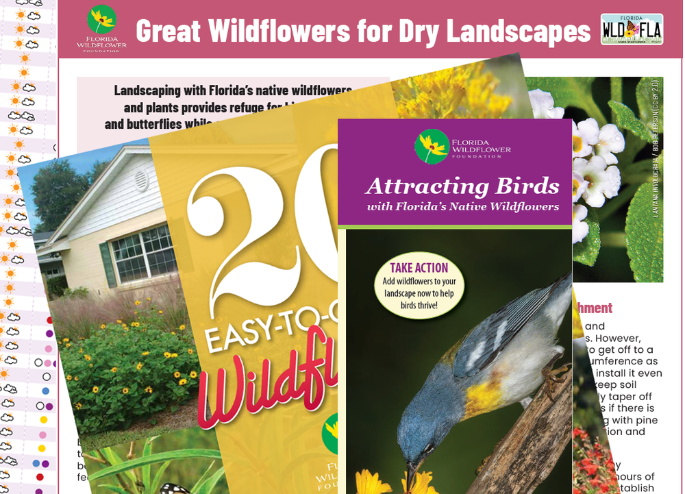 Native Plant Selection — Conserve Nassau