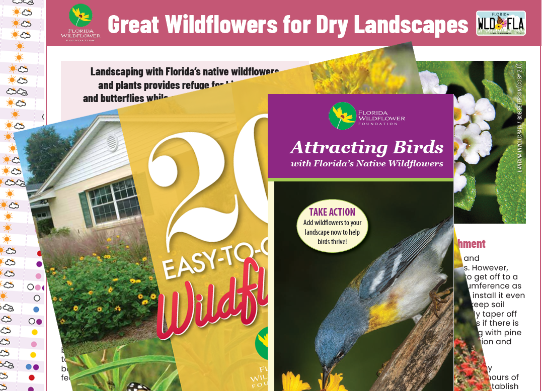 Native Plant Selection — Conserve Nassau