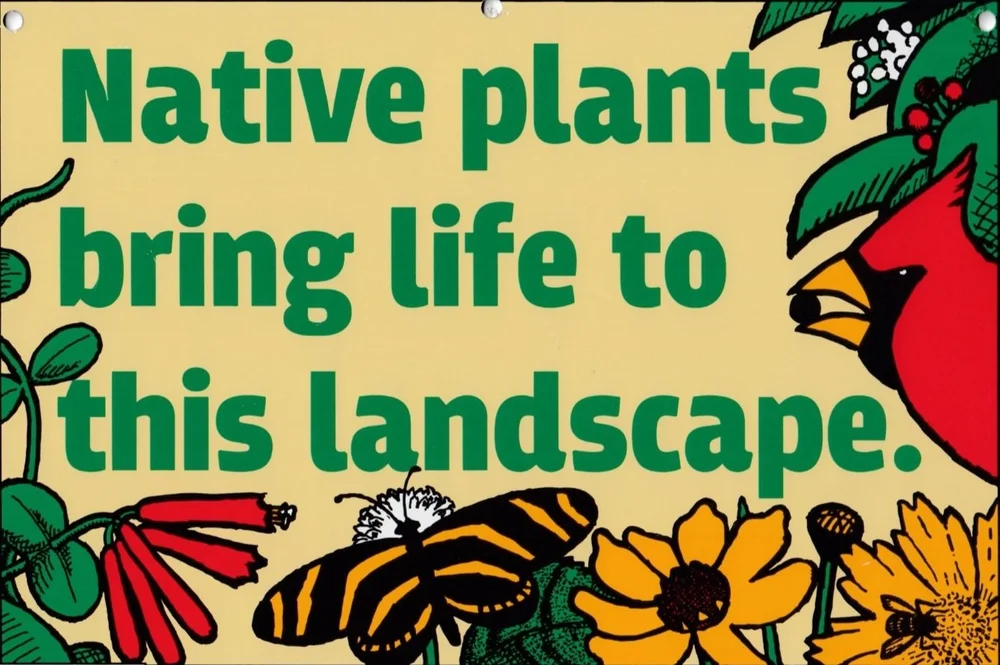 Native Plant Selection — Conserve Nassau