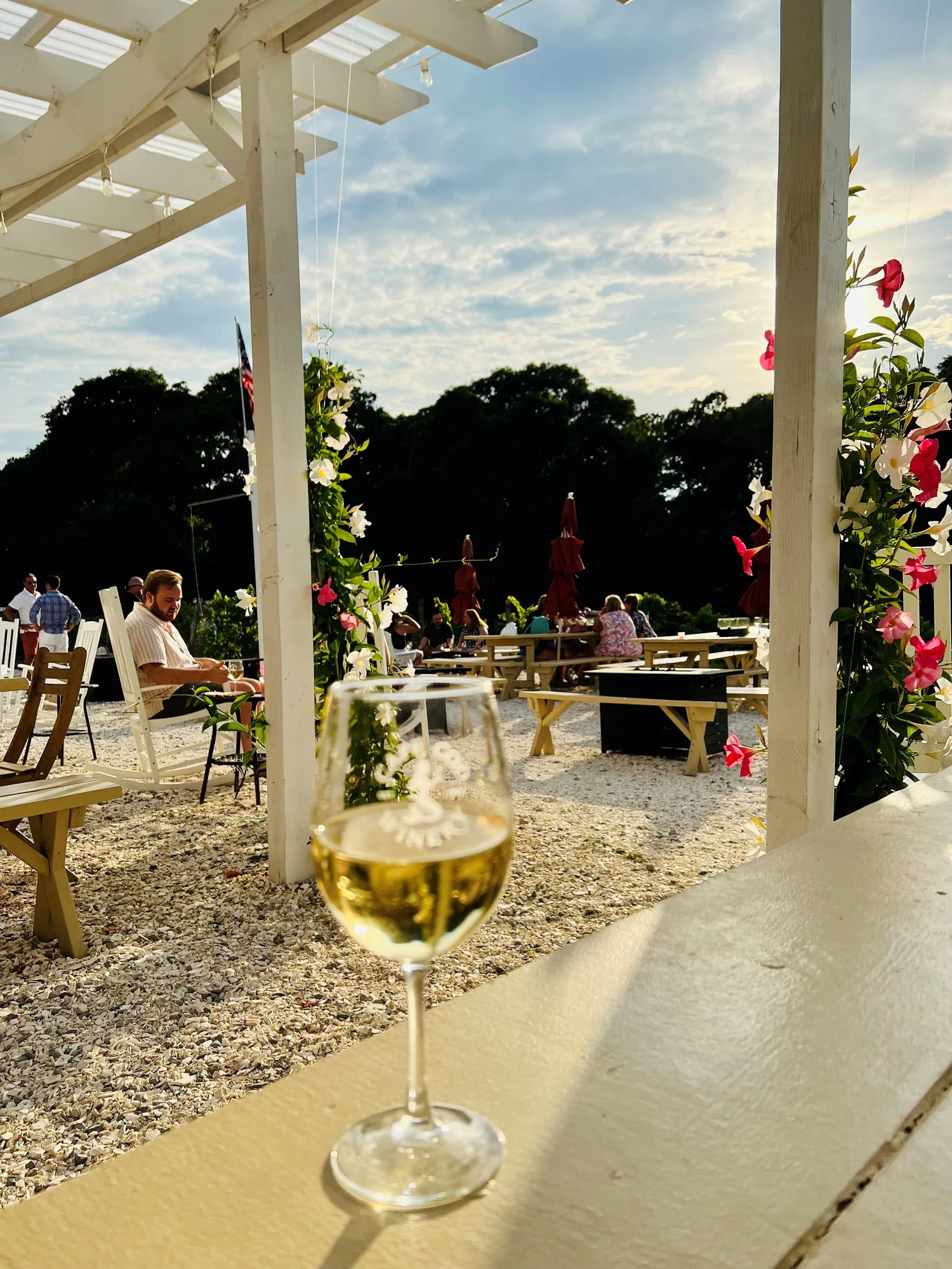Plan Your Visit — Cape Cod Winery