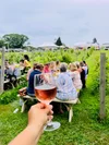 Cape Cod Winery