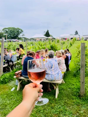 Cape Cod Winery