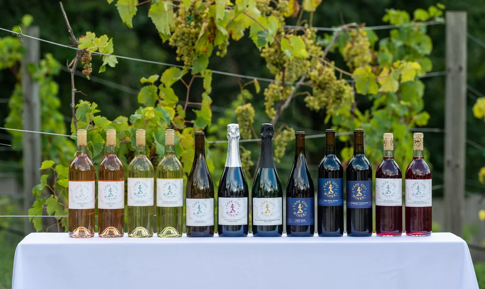 Cape Cod Winery