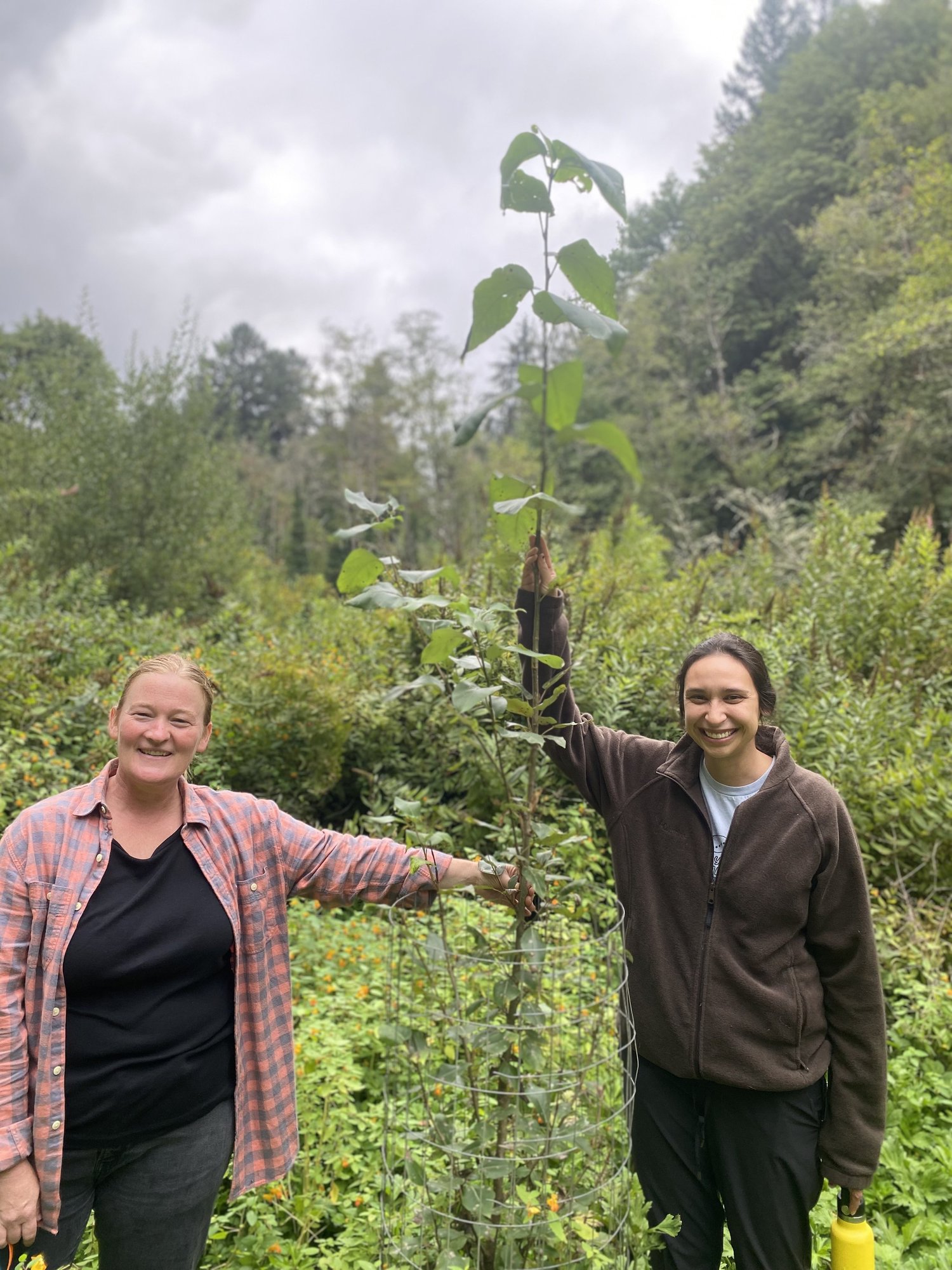 Land Tending — Friends of Tryon Creek - Tryon Creek State Natural Area