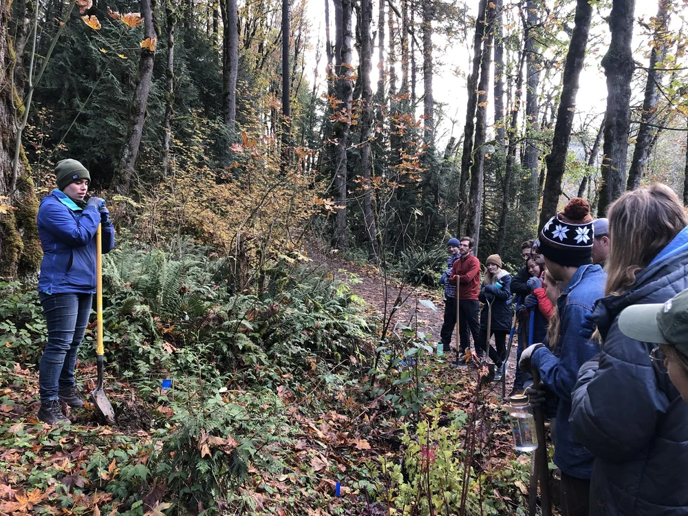 Land Tending — Friends of Tryon Creek