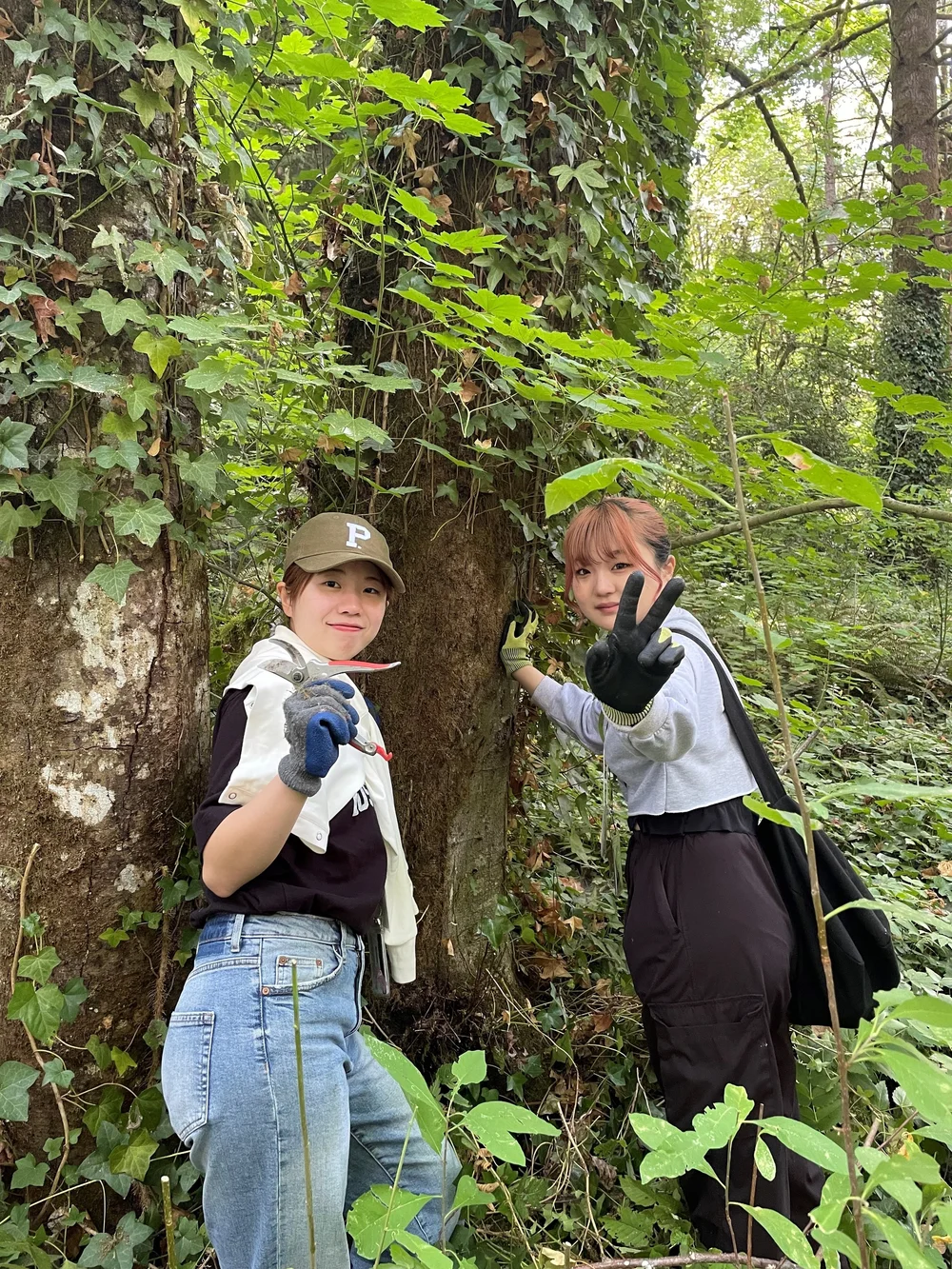 Land Tending — Friends of Tryon Creek - Tryon Creek State Natural Area