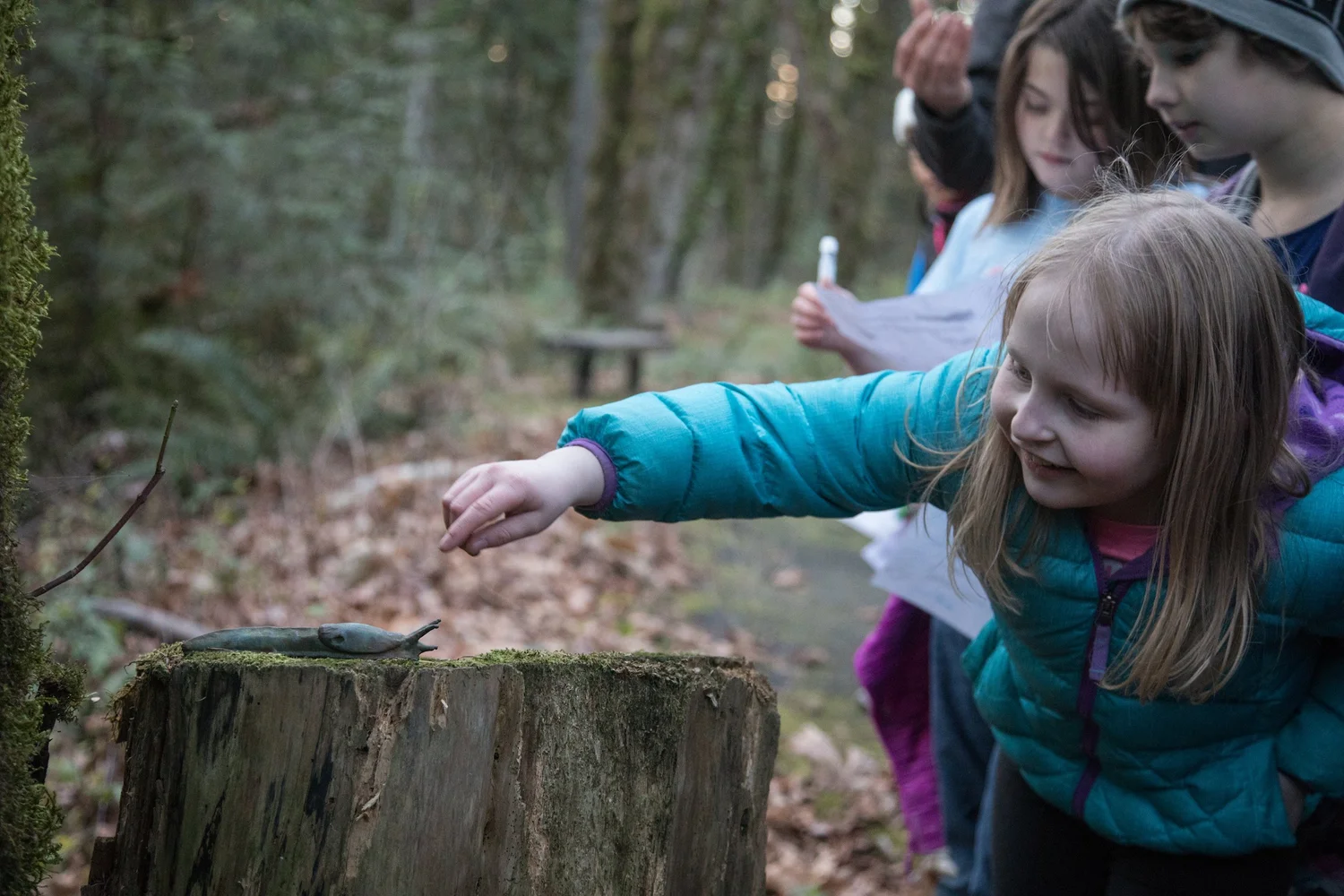 School Field Trips — Friends of Tryon Creek - Tryon Creek State Natural ...