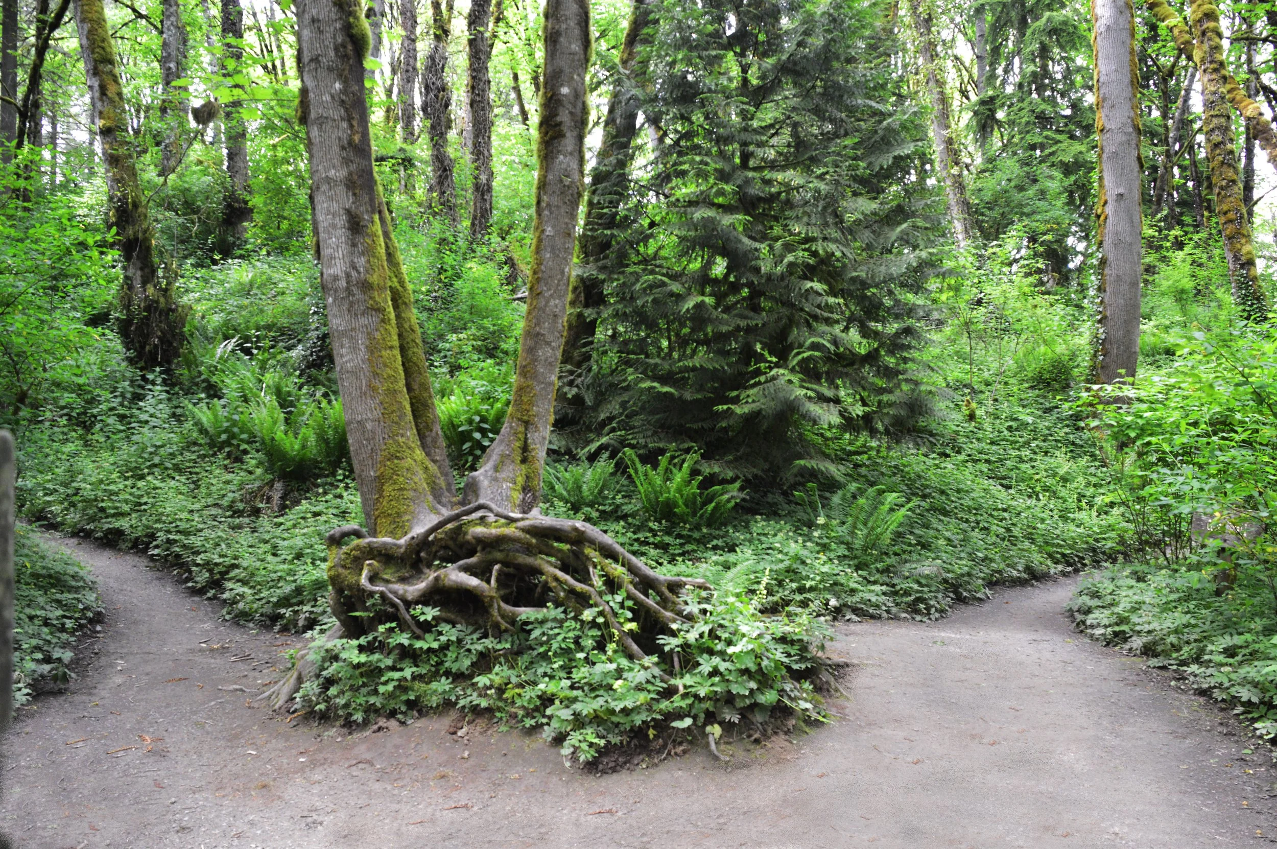 Visit the Park - Portland area hikes, education events and programs ...