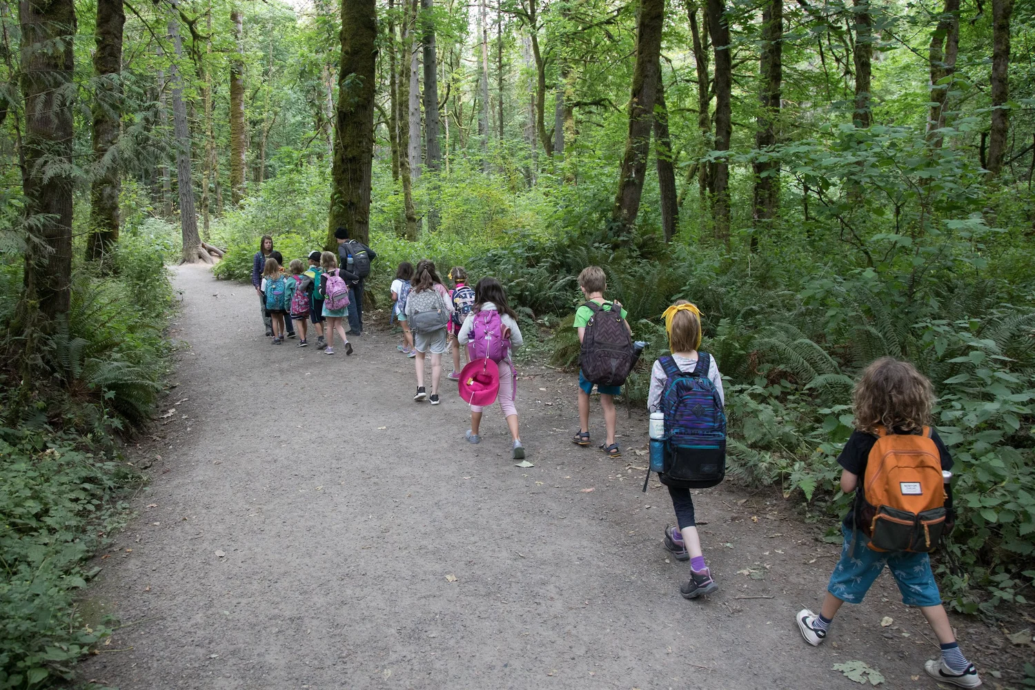Tryon Forest Adventures Camp — Friends of Tryon Creek