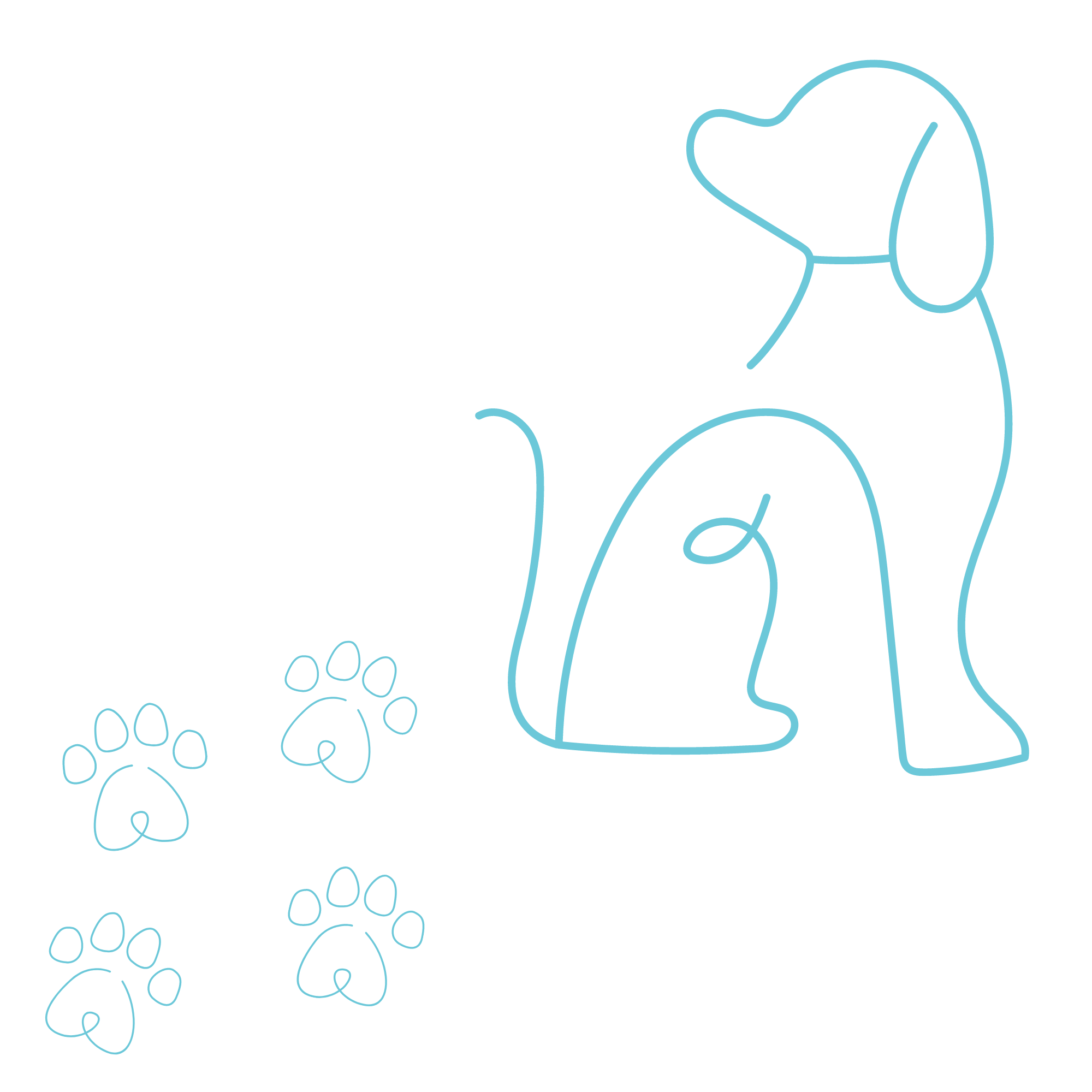 WiseClean | We clean. You enjoy life.