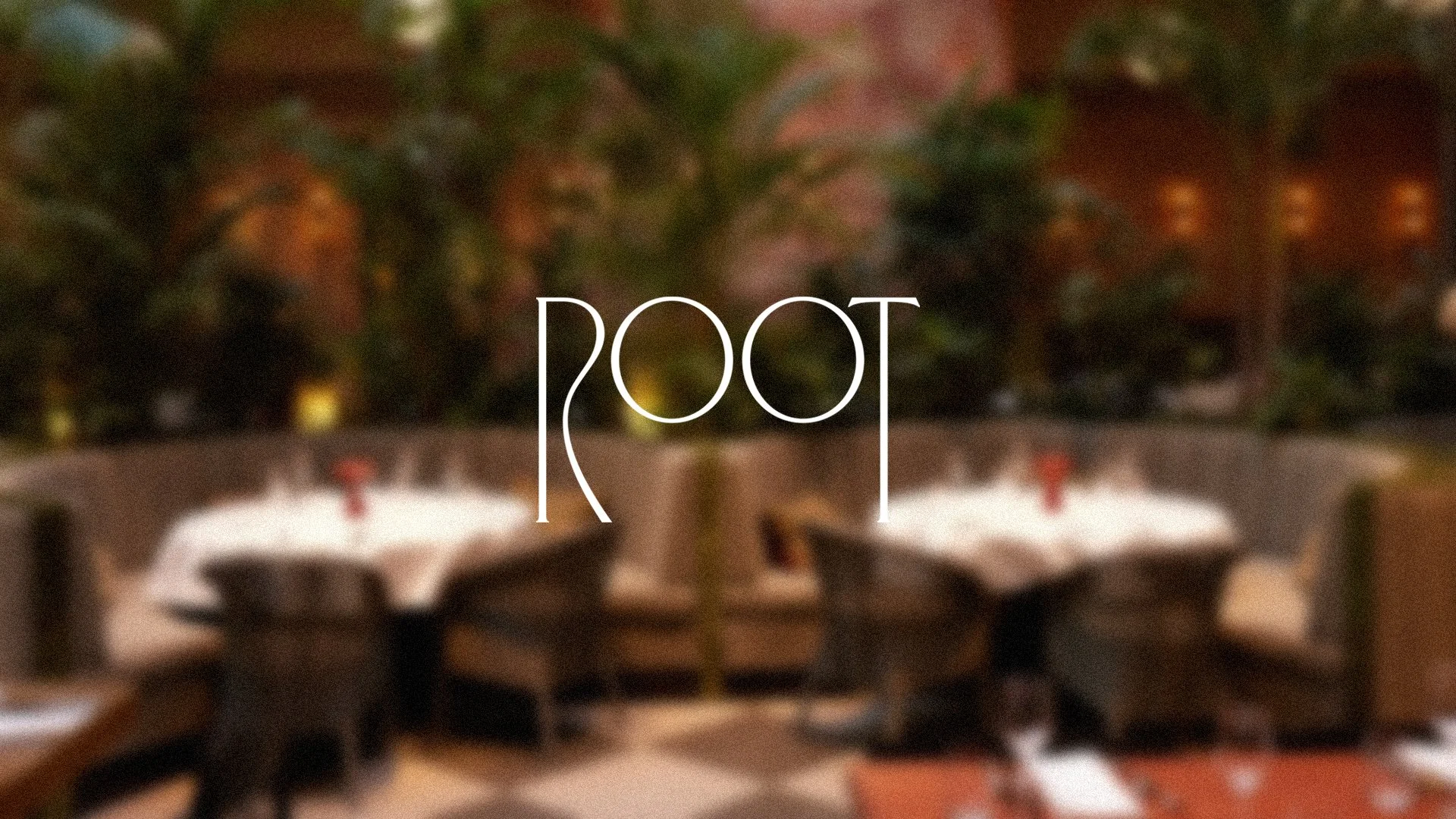 Root