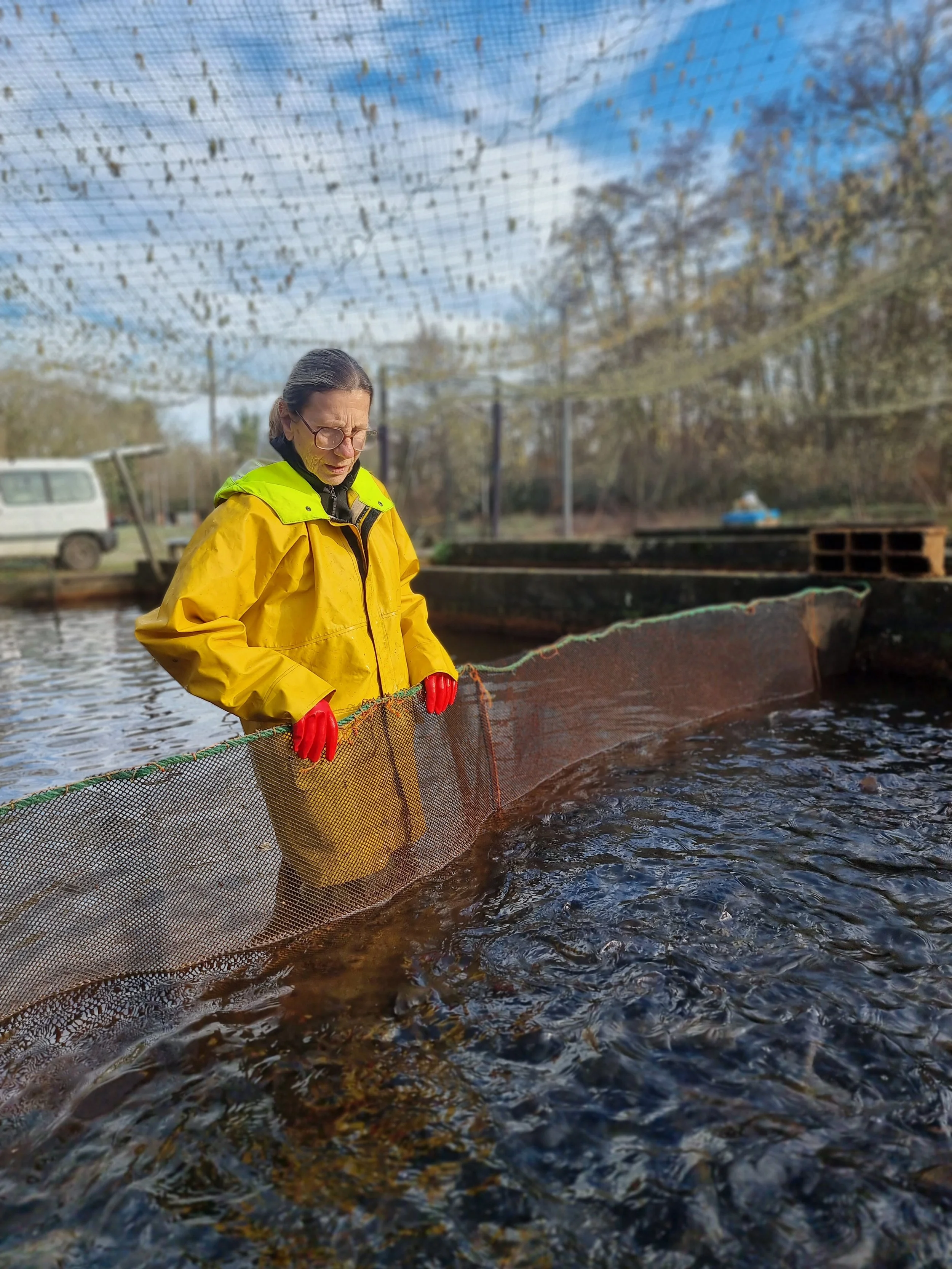 Notre savoir-faire — Truite du Moulin d'Esleys - Pisciculture & Pêcherie