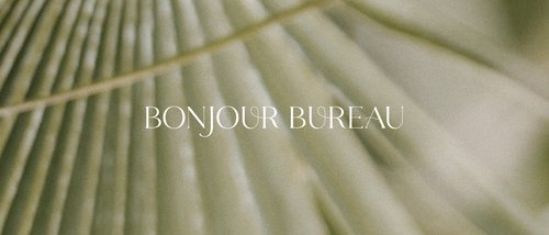 Bonjour Bureau — Tina Perko | Brand Design
