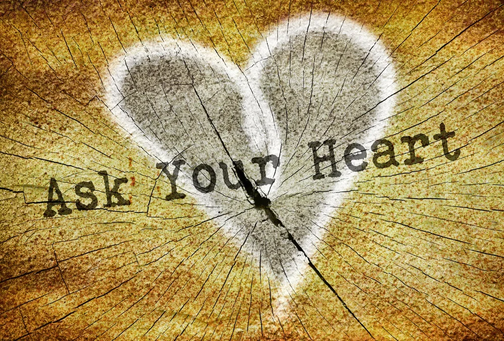 The Difference Between Instinct and Intuition: A Fearless Path To ...