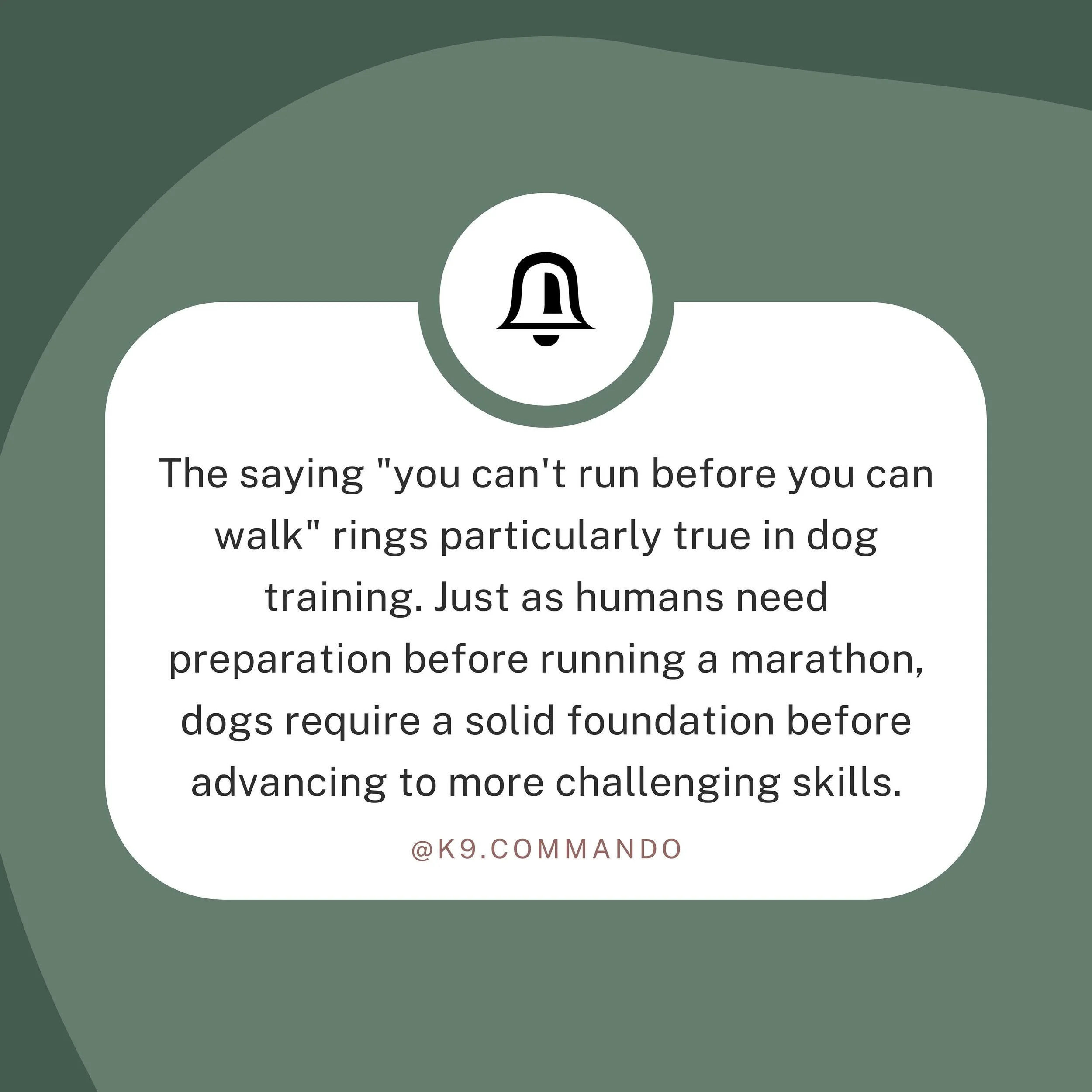 Contact — K9 Commando