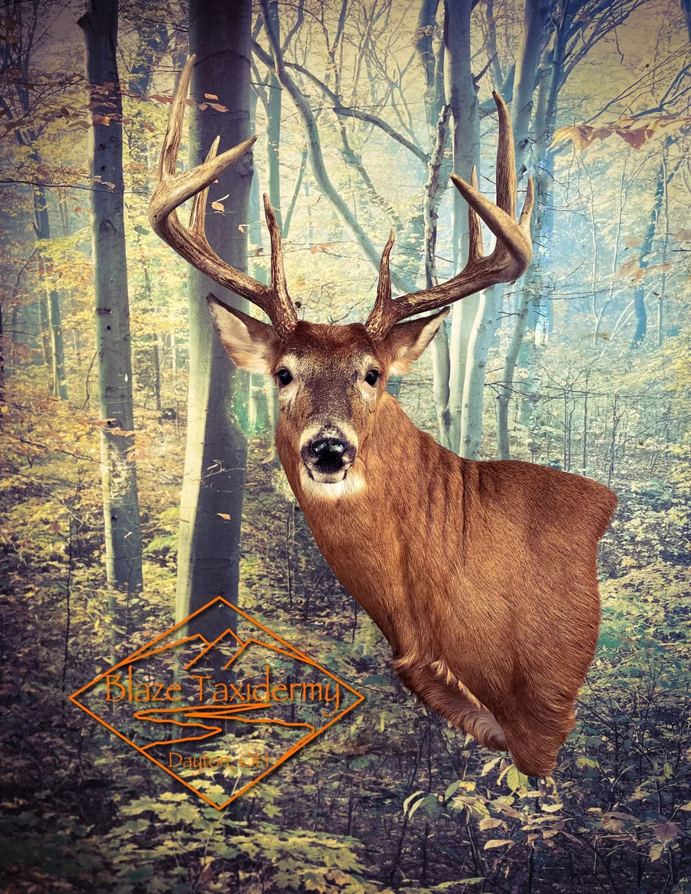 Wall Pedestal - Side Profile of Deer — Blaze Taxidermy - Specializing ...