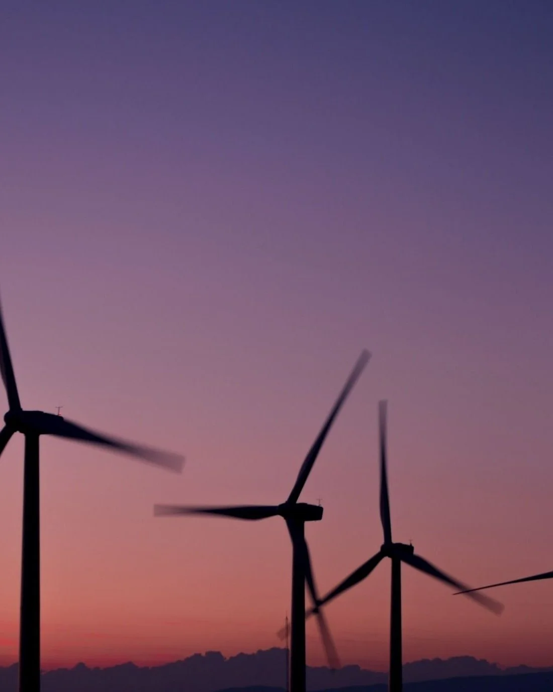 Portfolio — Pace Ventures