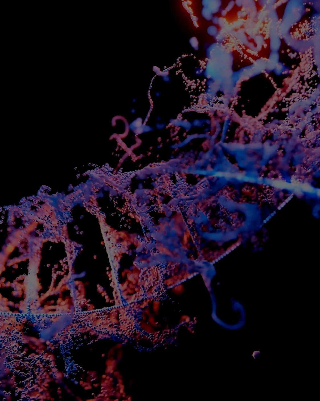 Portfolio — Pace Ventures