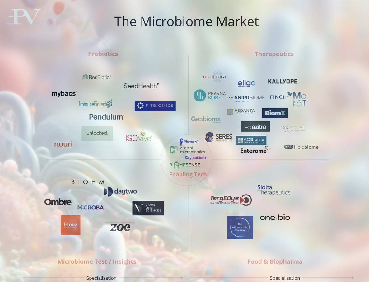 Insights — Pace Ventures