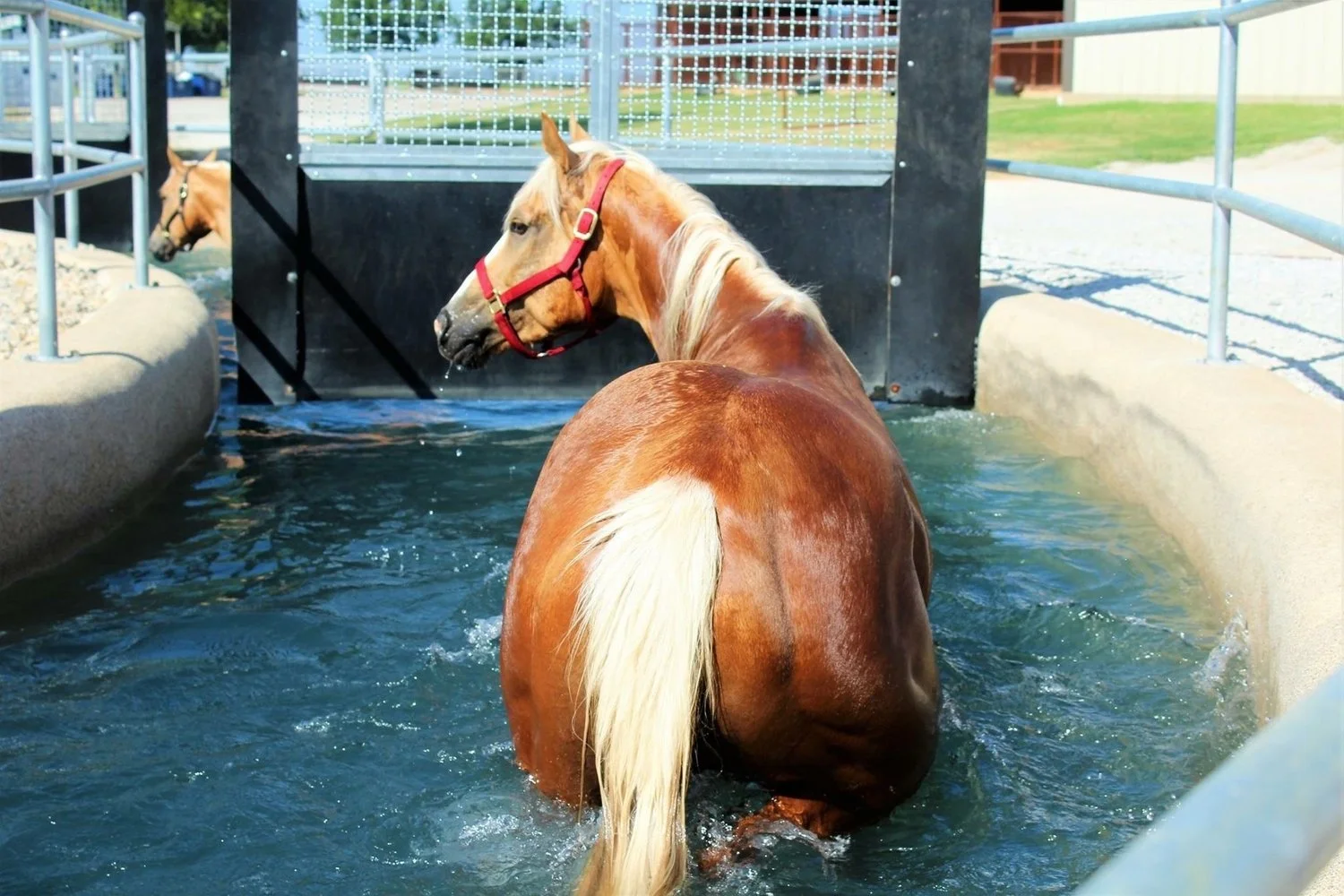 Sunfish Pools | Pool Builder | Award Winning Design I North Texas I ...