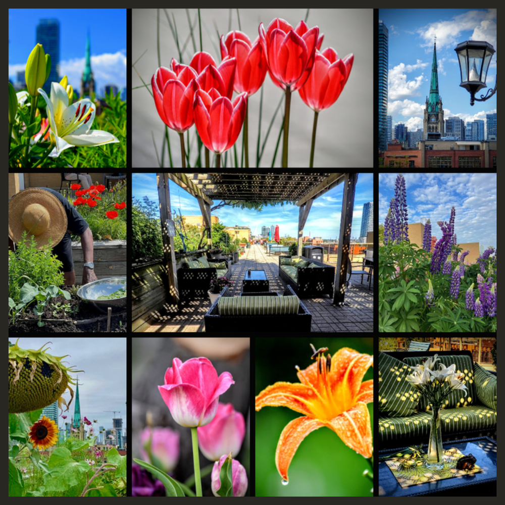 Living at PAL | Explore Artistic Living — PAL - Performing Arts Lodges