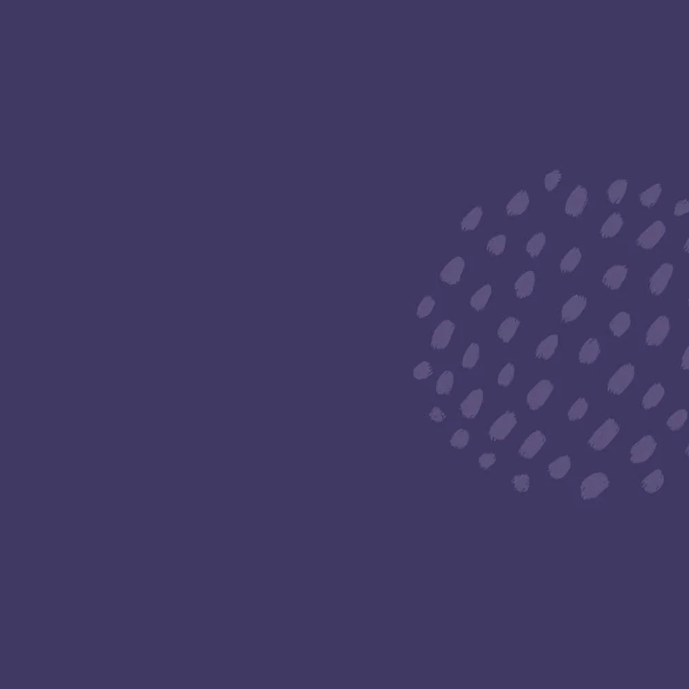 Best Soft Play Zone - Wonderland Play