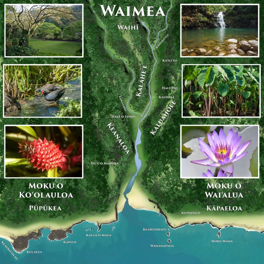 Waimea Valley - Where Hawaiʻi Comes Alive