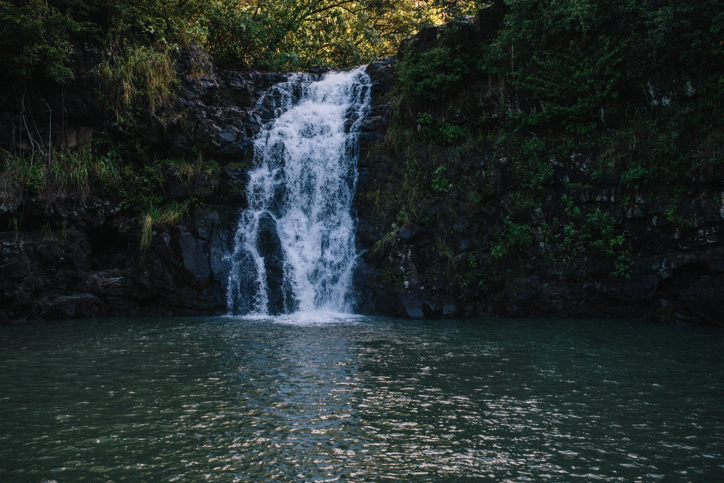 Waimea Valley