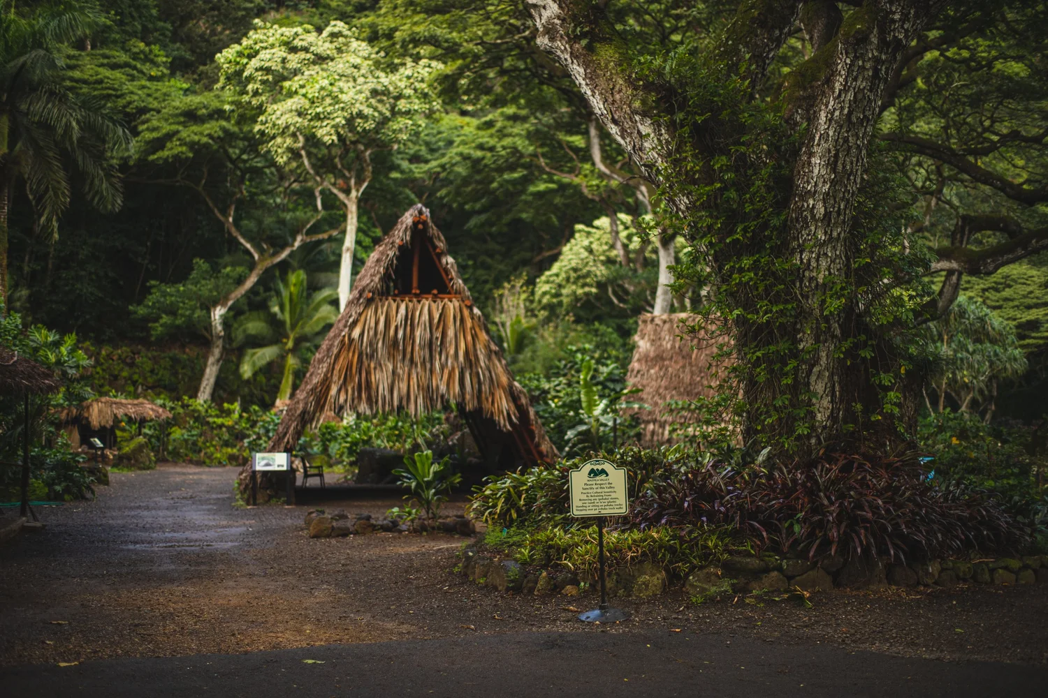 Cultural Sites | Explore Cultural Heritage Today - Waimea Valley