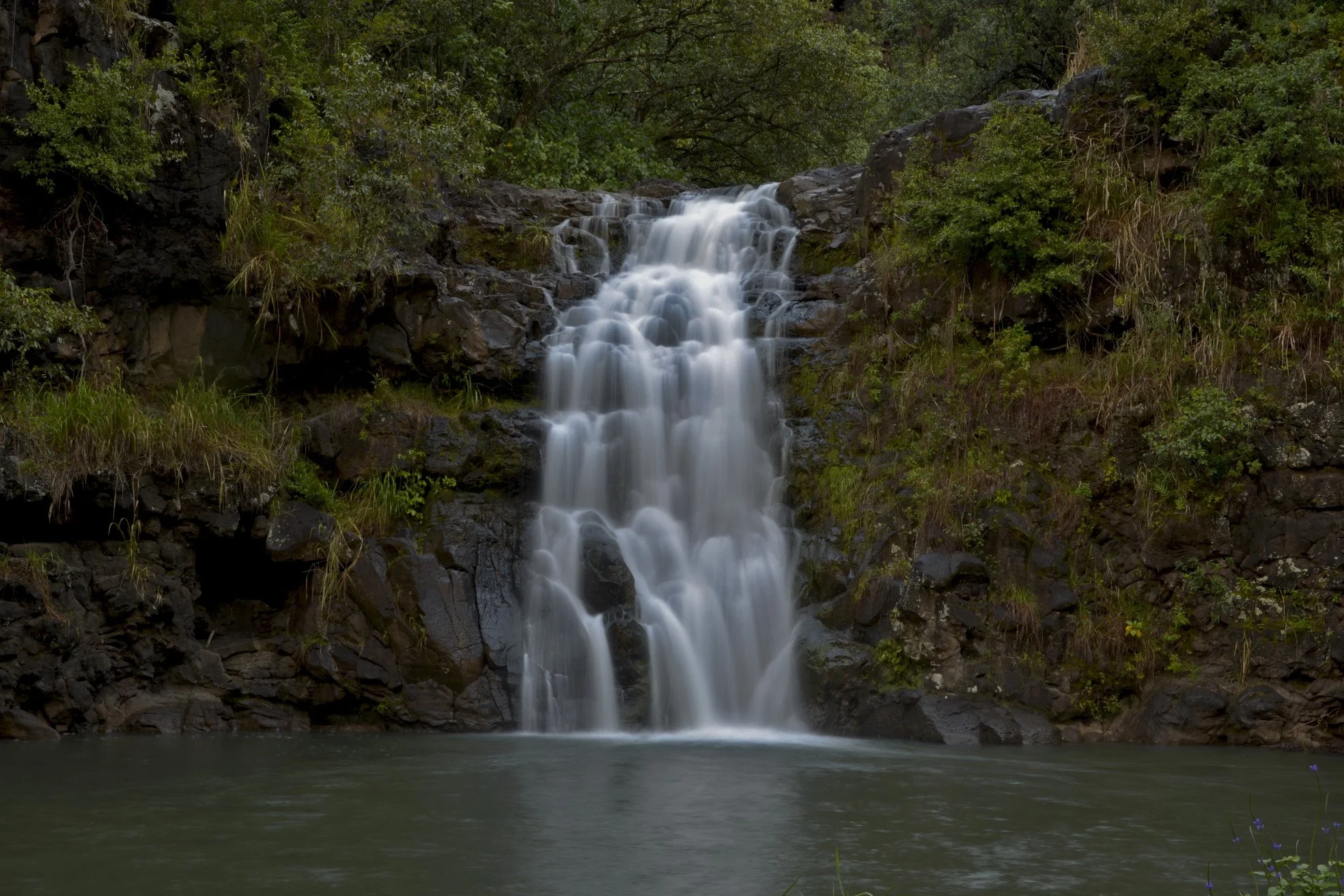 Waimea Falls - Waimea Valley