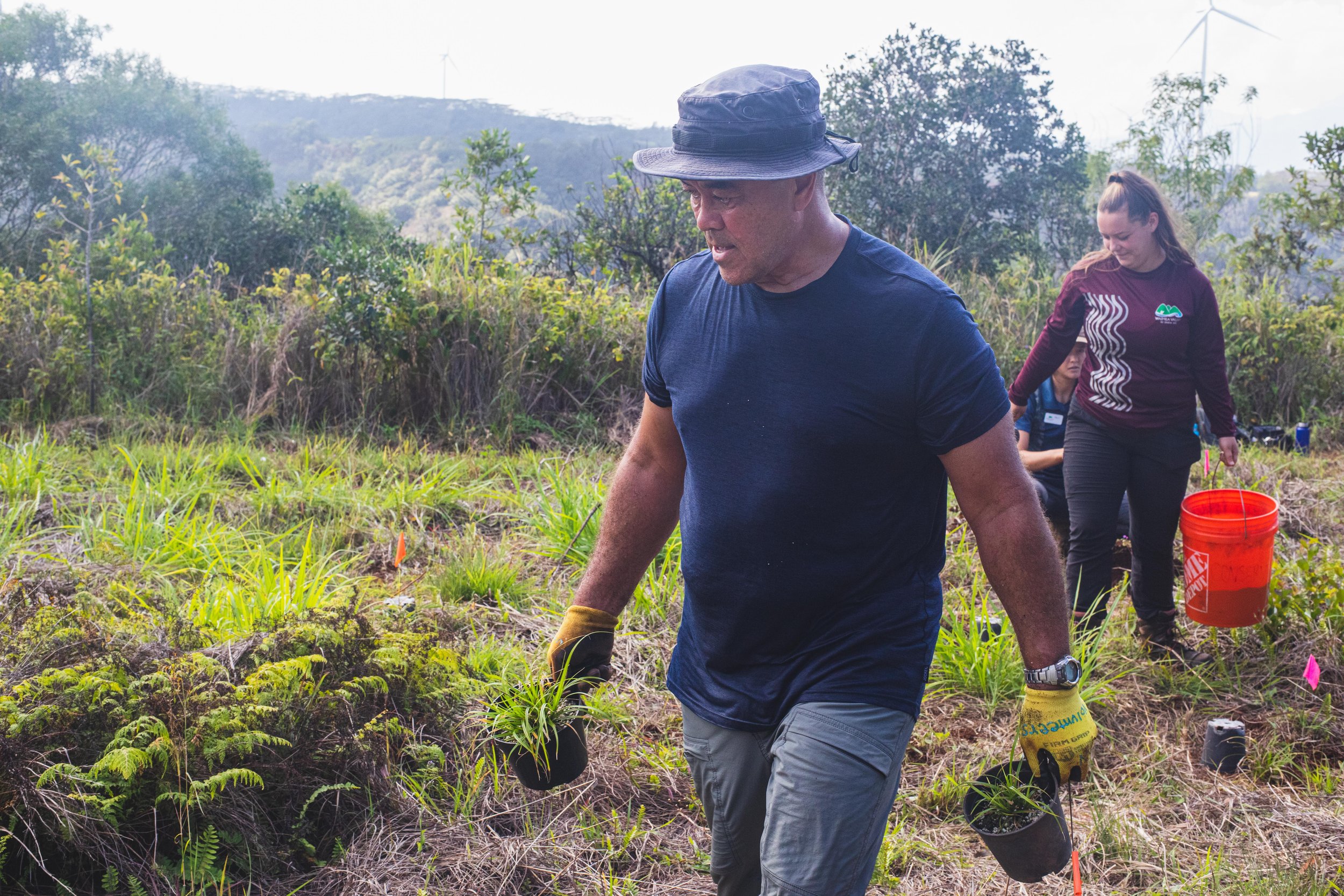 Waimea Valley - Where Hawaiʻi Comes Alive