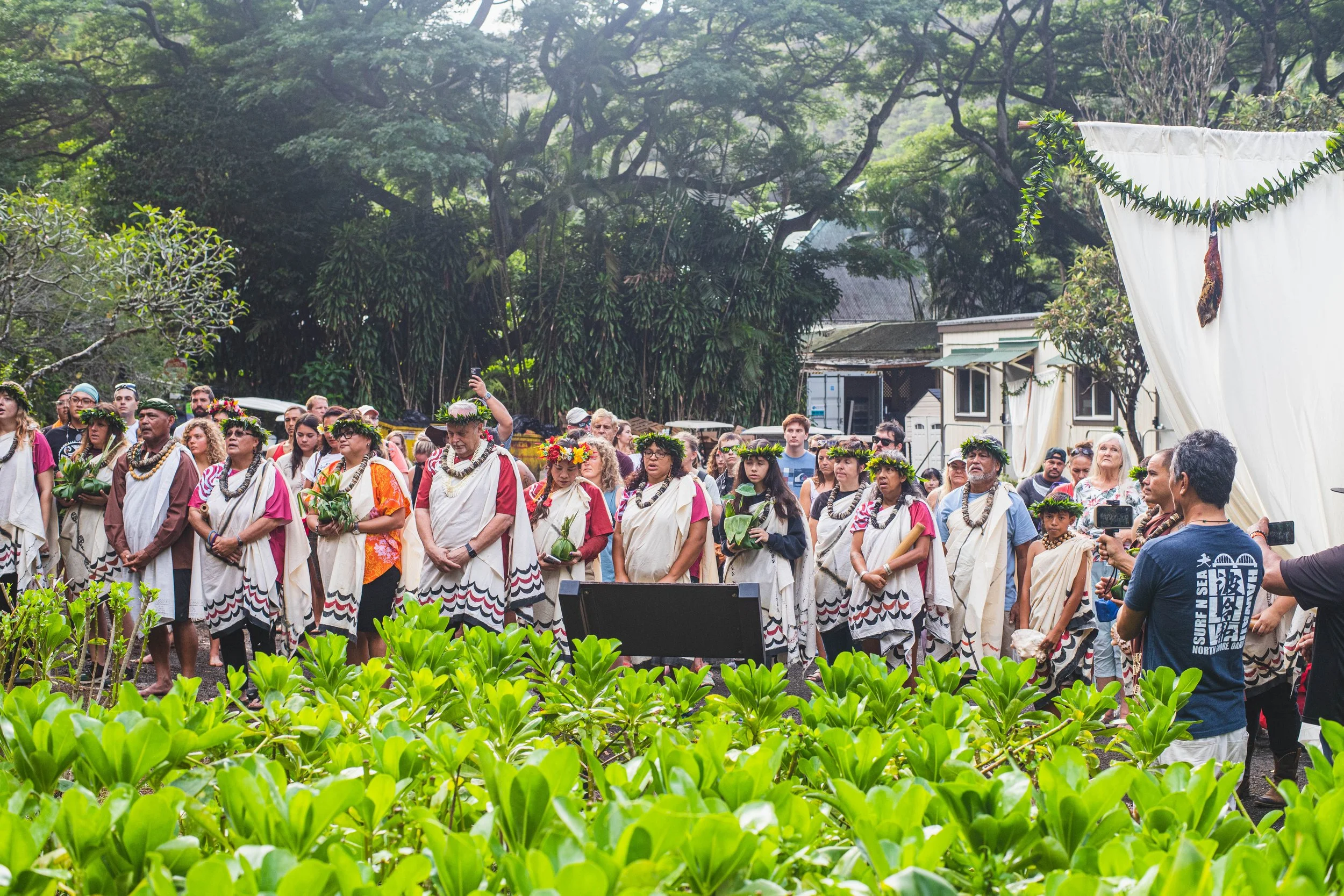 Waimea Valley - Where Hawaiʻi Comes Alive
