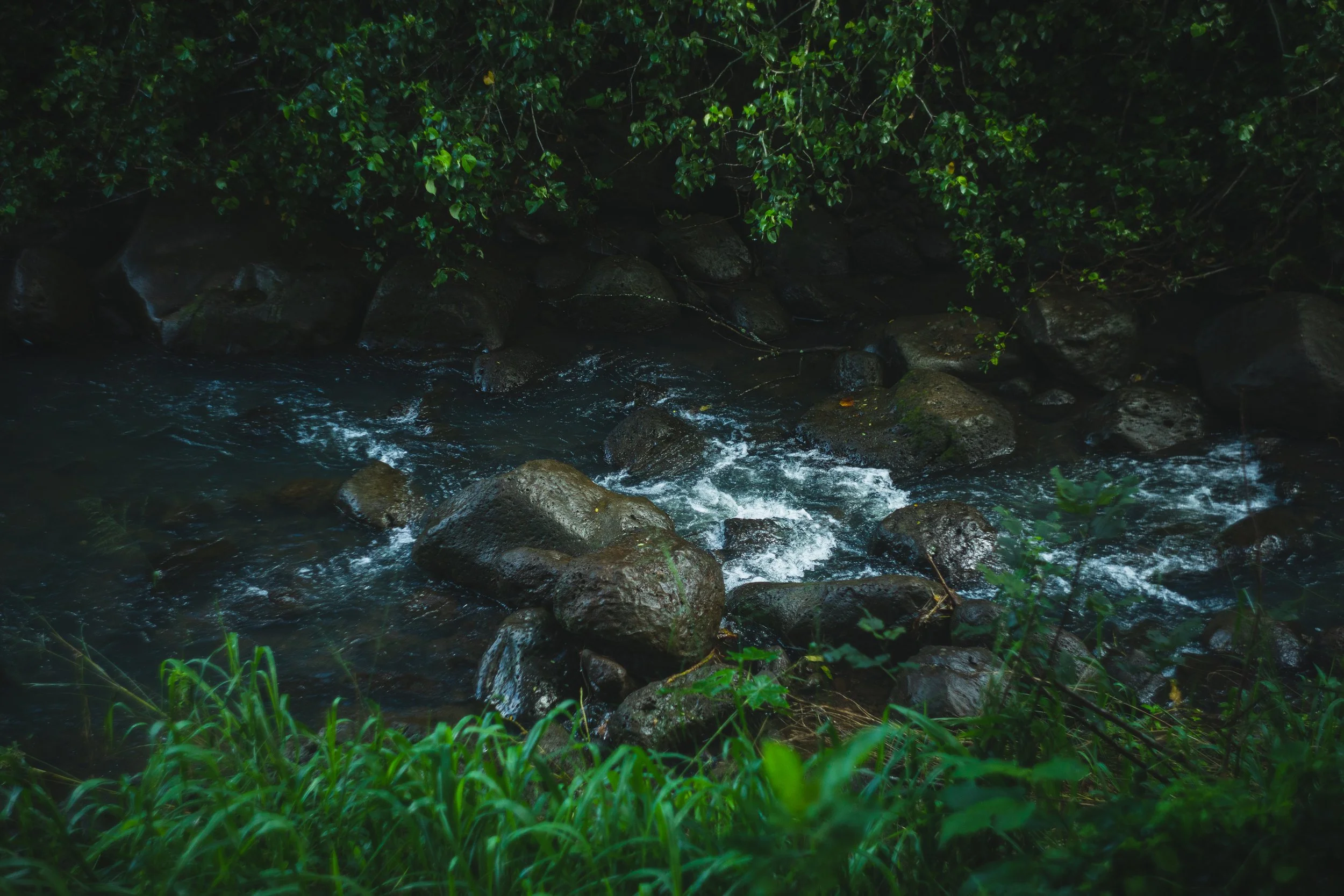 Trails - Waimea Valley