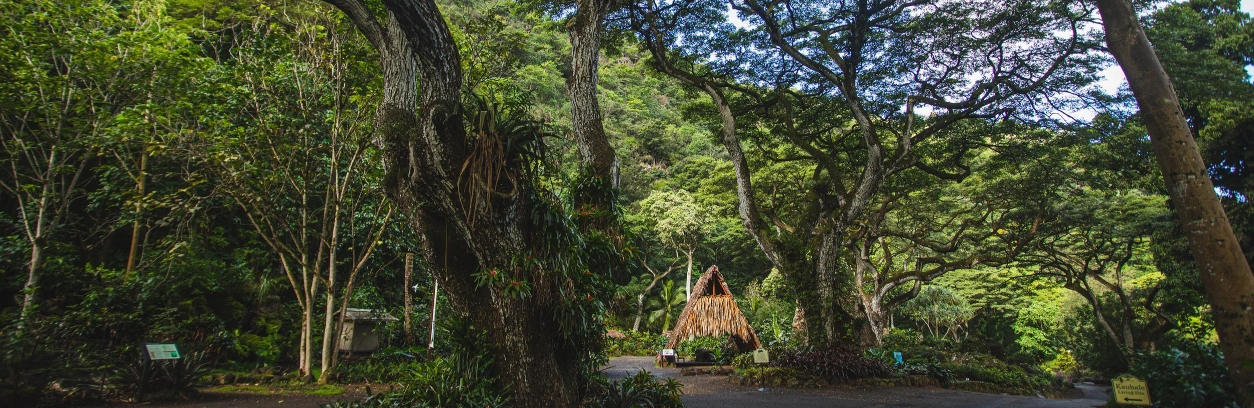 Waimea Valley