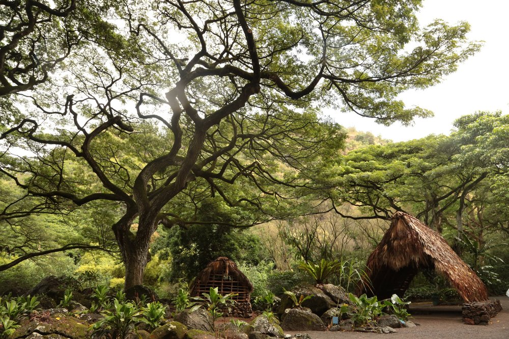 Waimea Valley - Where Hawaiʻi Comes Alive