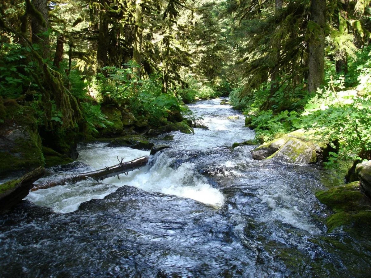 How to go About Planning a Trip to Alaska — Afognak Wilderness Lodge