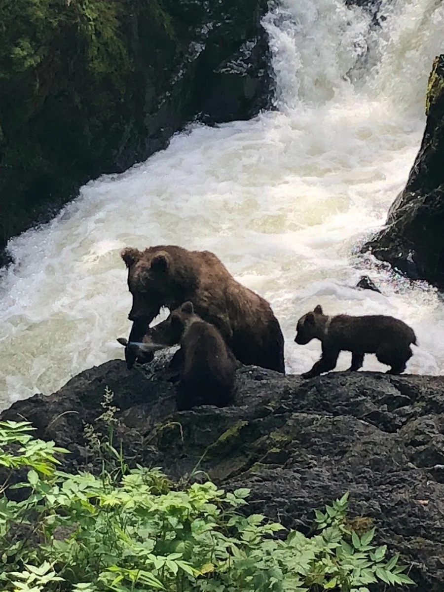 Afognak Wilderness Lodge | Kodiak Island Lodging - Afognak Lodge Alaska