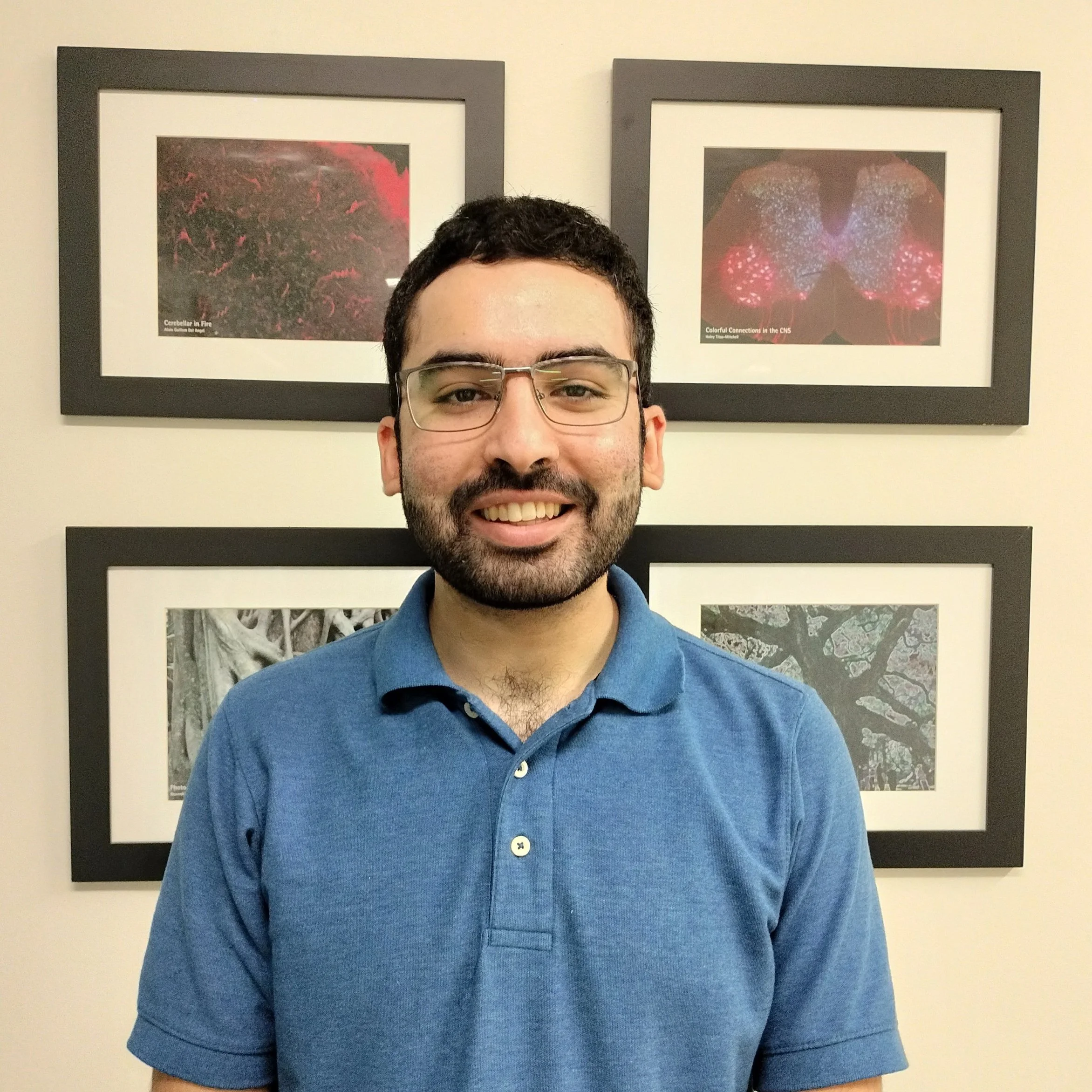 Team — Memory and Cognition Lab