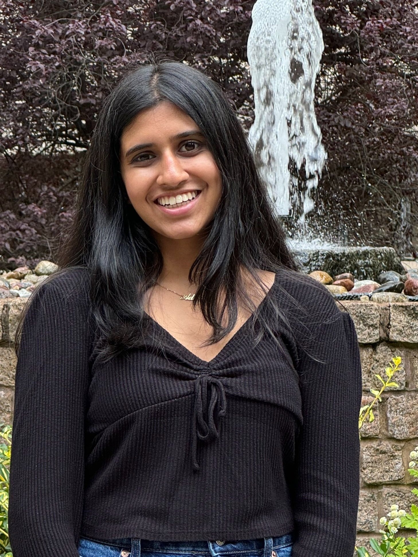 Team — Memory and Cognition Lab