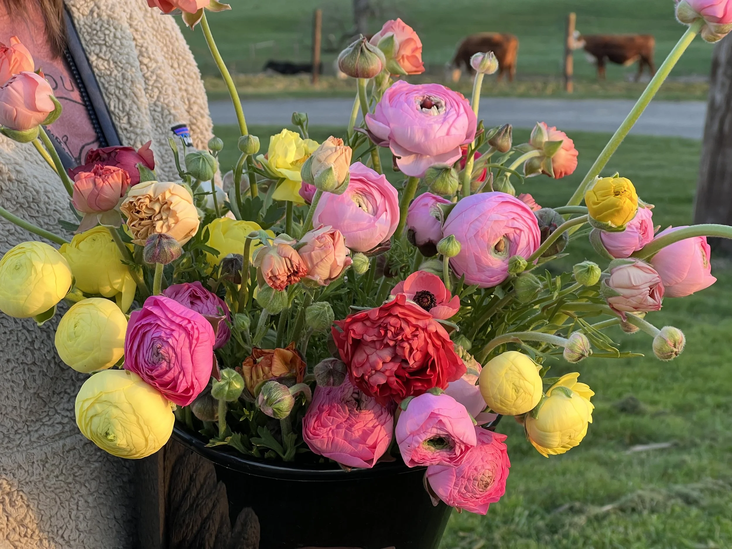 Subscription Shop — McCullough Flower Farm