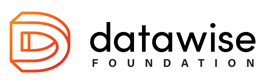 DataWise Foundation