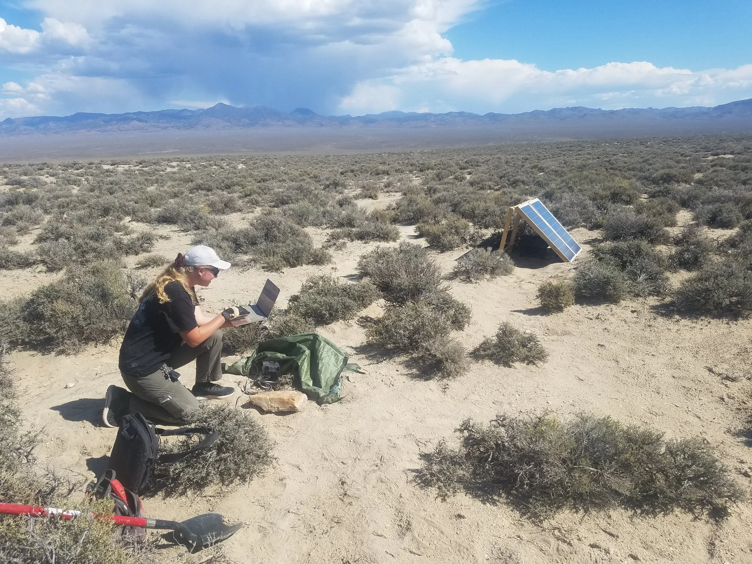 Our Team — Green Geophysics