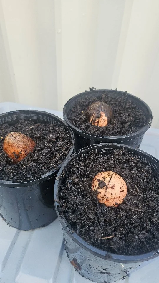 Resources List — Soulfully Green