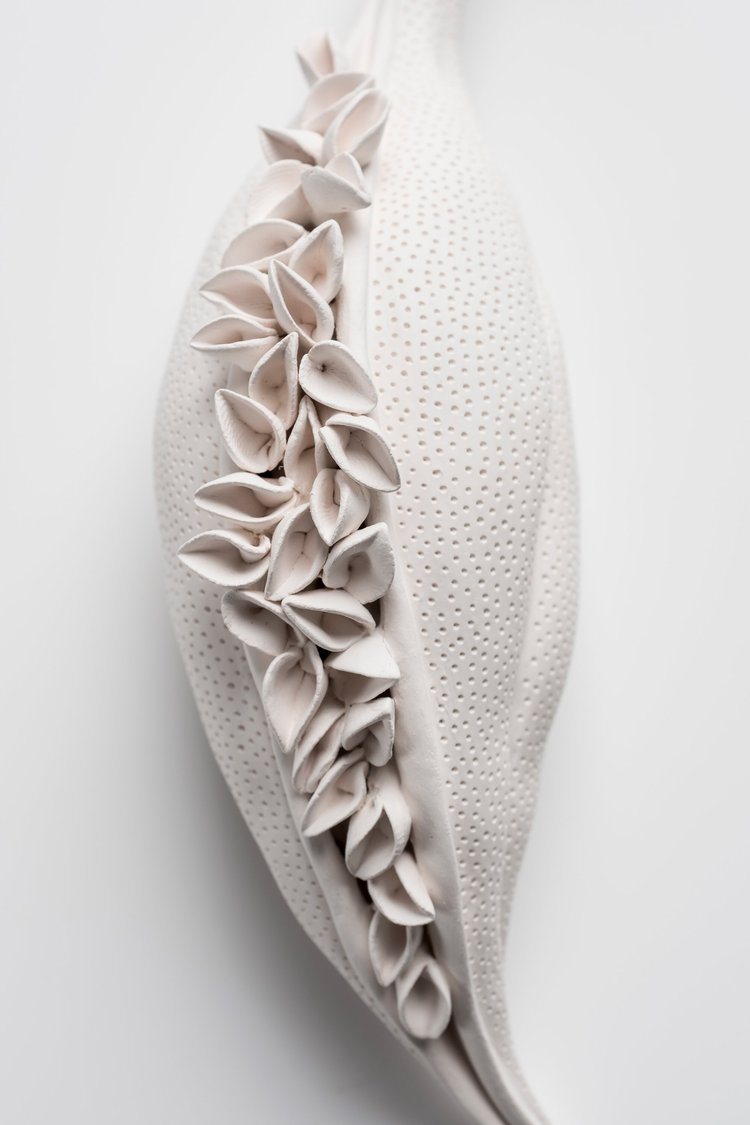 Flowerbones 2018 — Sarah Rayner